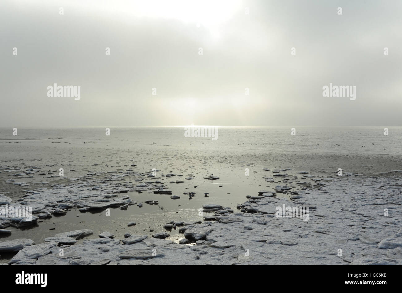 Grey sky view expanse of land-fast sea ice at the edge of seawater with ...