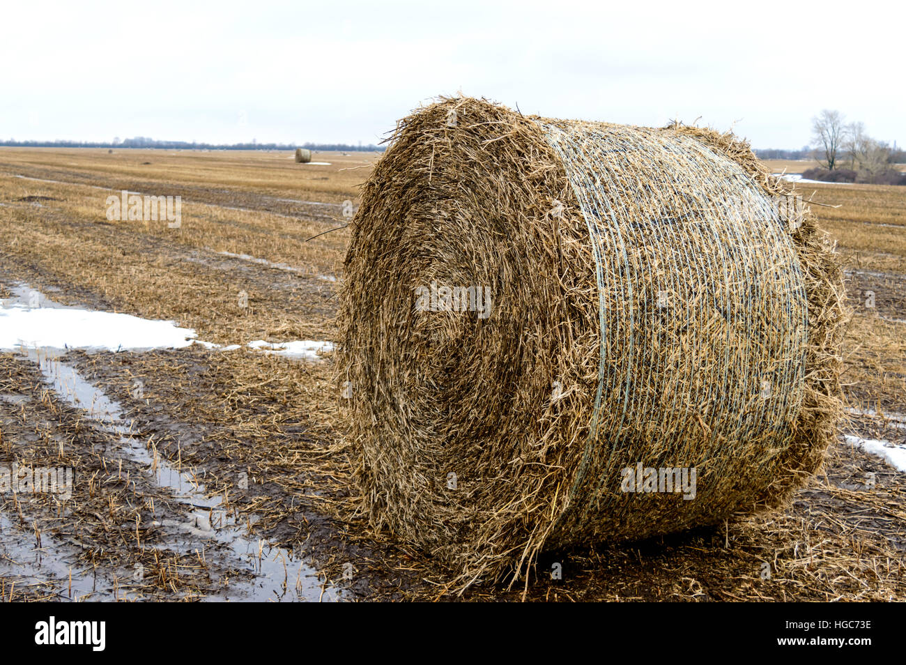 The straw left on the field after the grain harvest, the formation of ...
