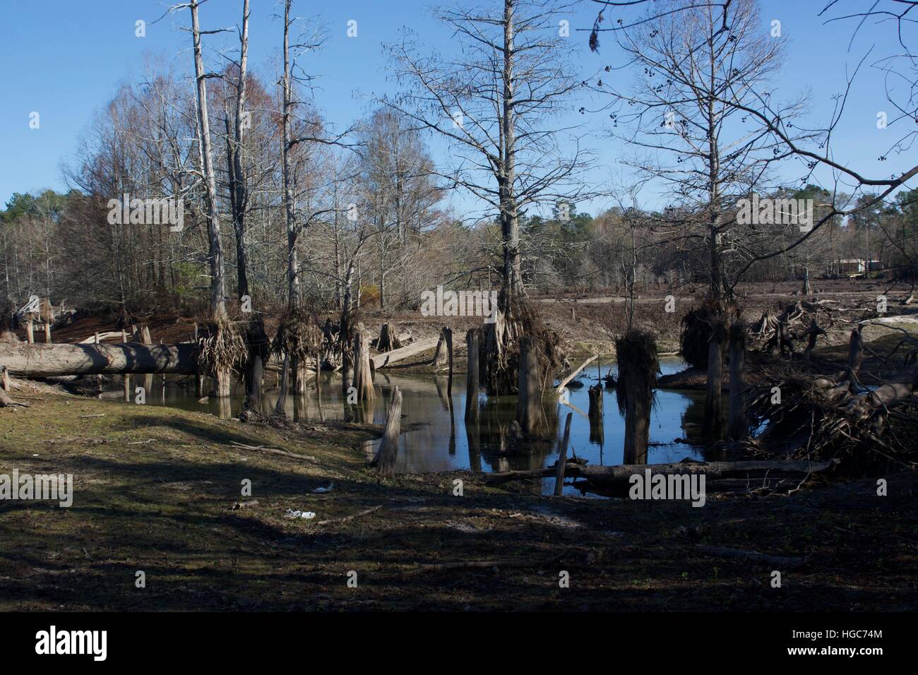 Anacoco hi-res stock photography and images - Alamy