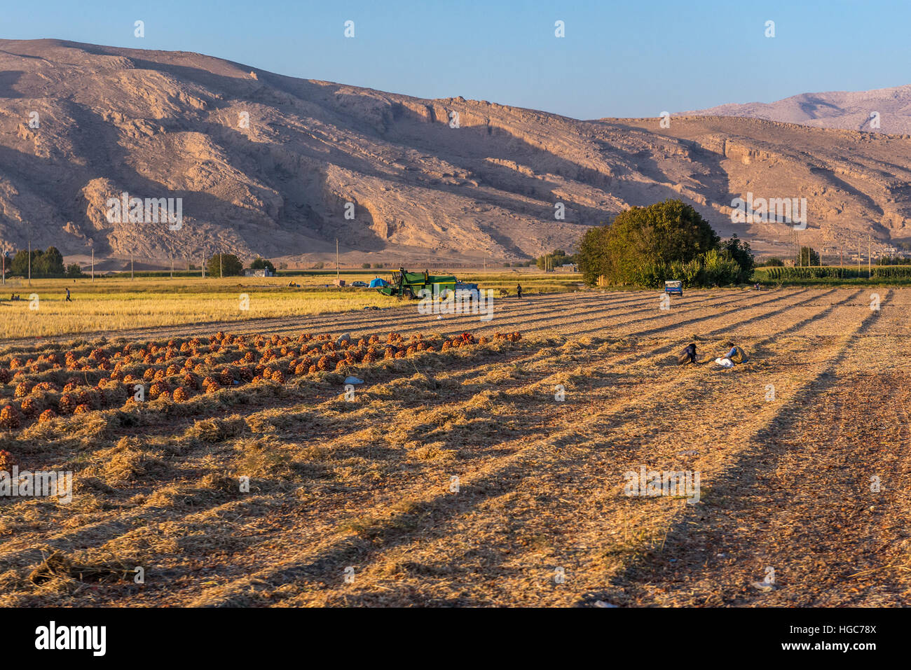 Iranian rural hi-res stock photography and images - Alamy