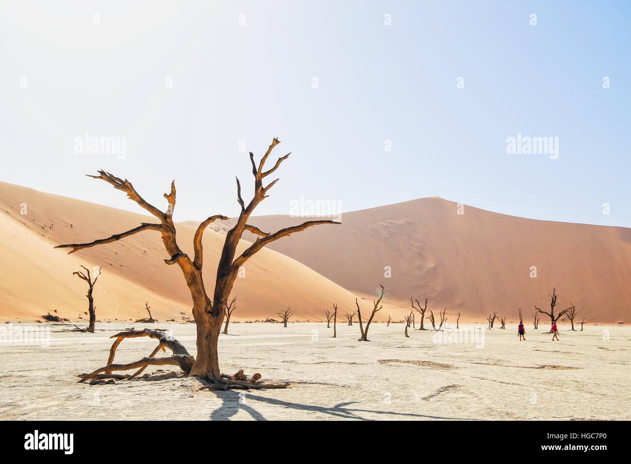 The Deadvlei, Namibia Stock Photo - Alamy