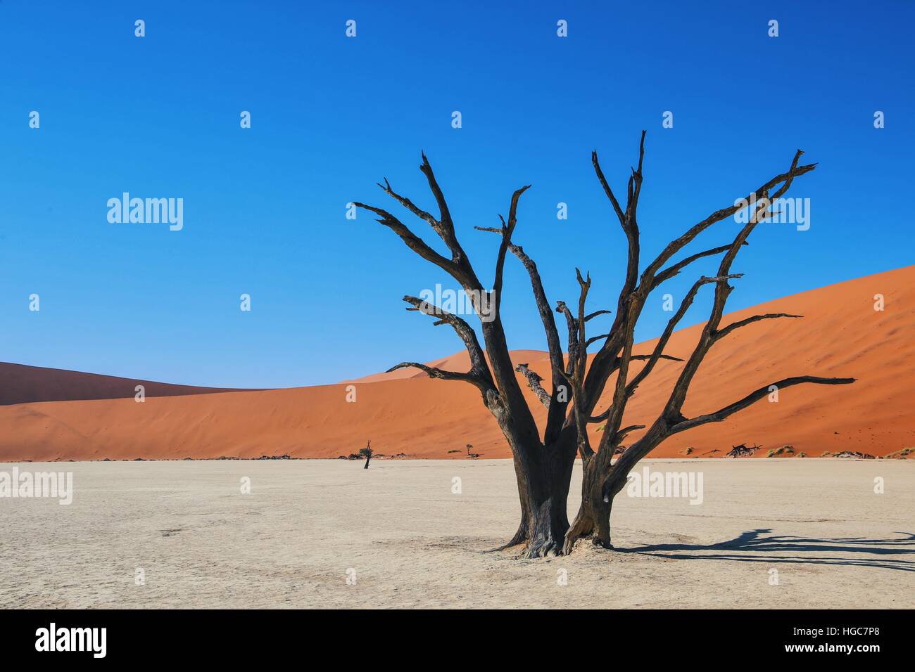 The Deadvlei, Namibia Stock Photo - Alamy