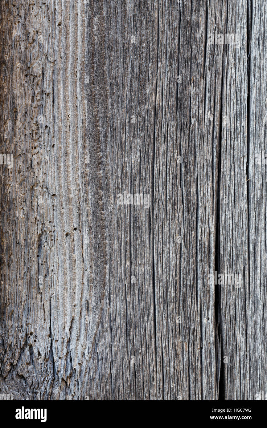 Old wood texture background. Scratches and dents, grungy Stock Photo ...