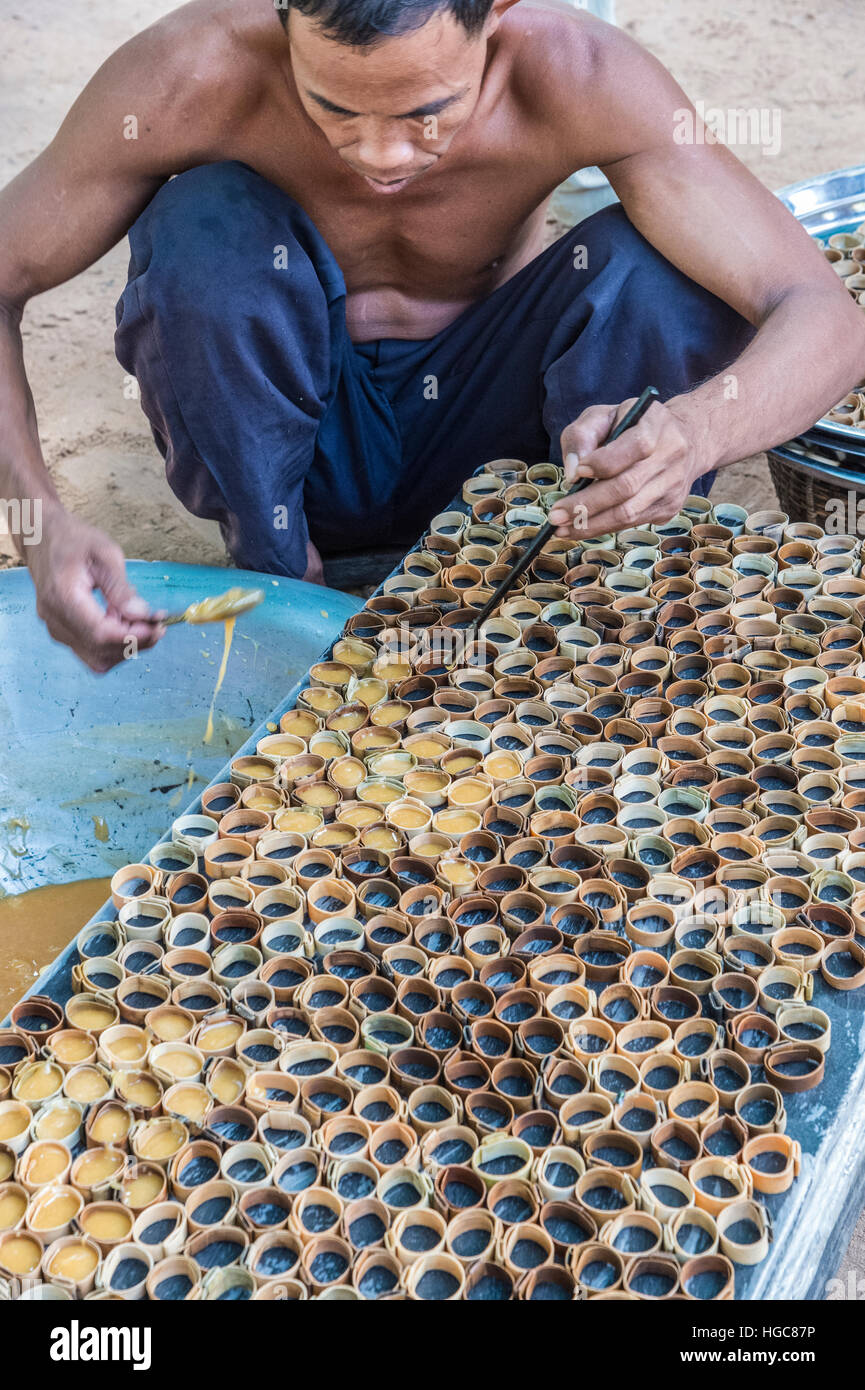 Cambodian rural life near Siem Reap and the ancient city of Angkor ...