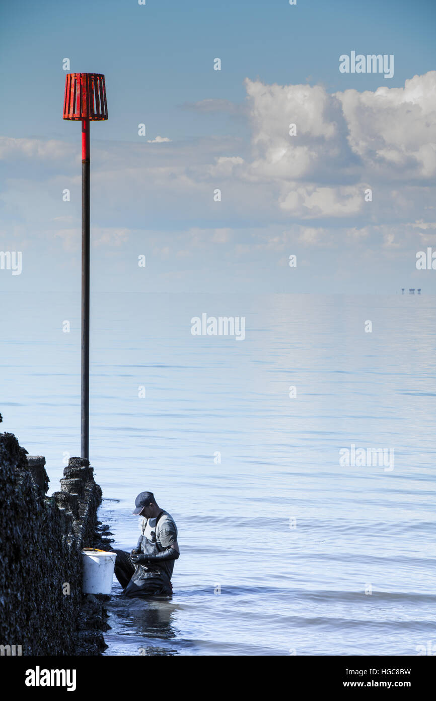 Working in the water hi-res stock photography and images - Alamy