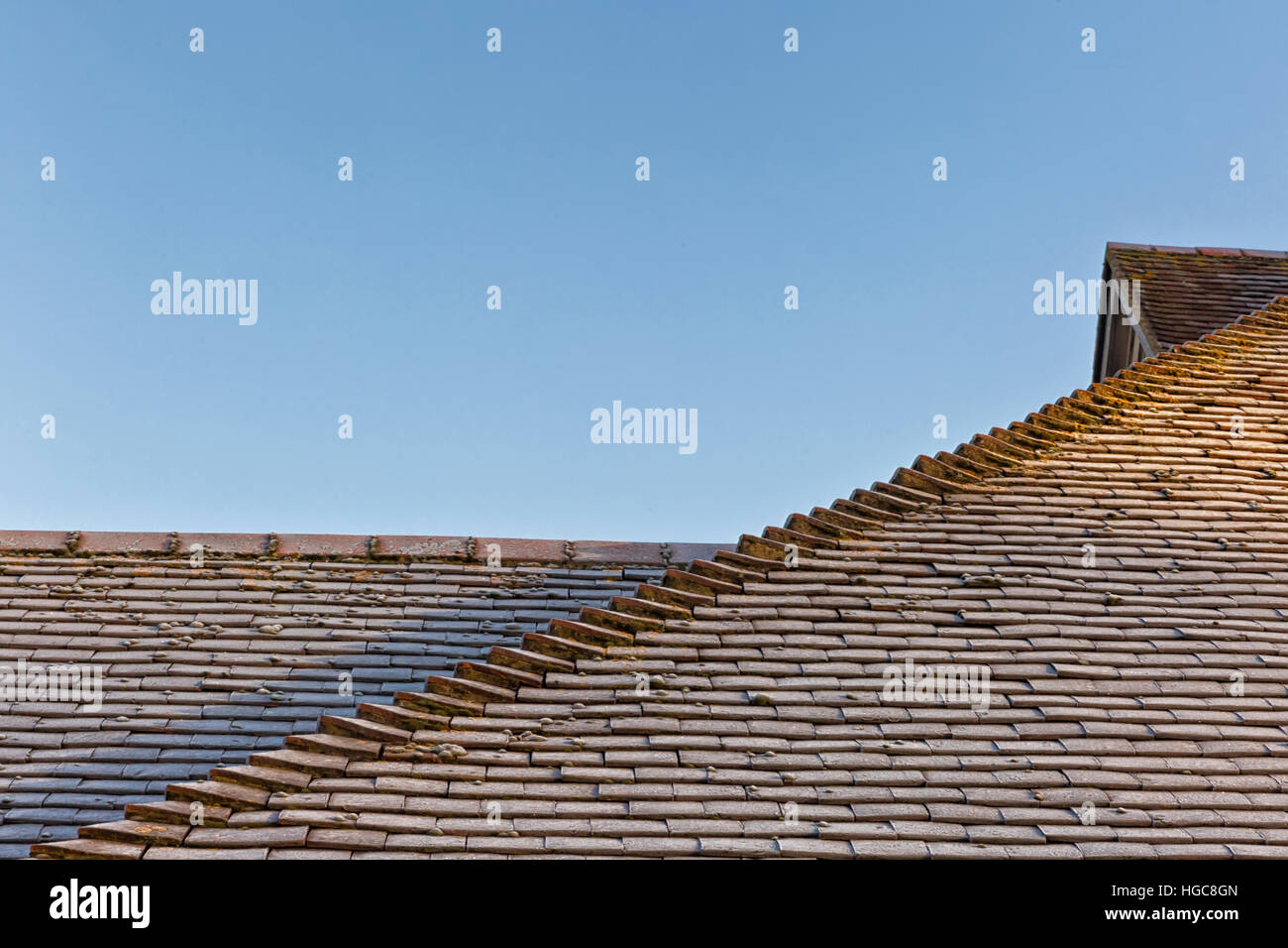 Architectural Detail of roof of a Buddhist Temple, England Stock Photo ...