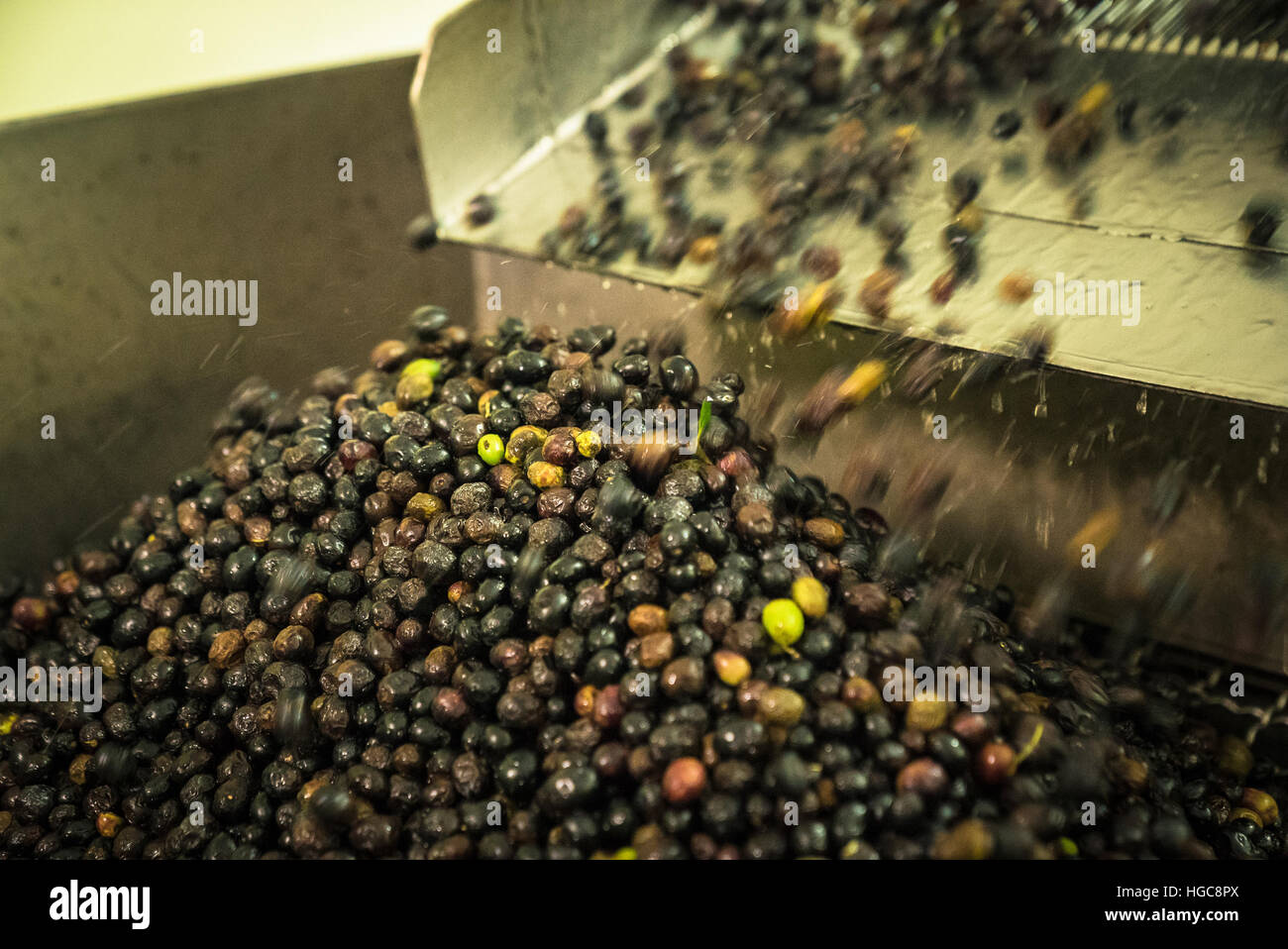 Oil mill hi-res stock photography and images - Alamy