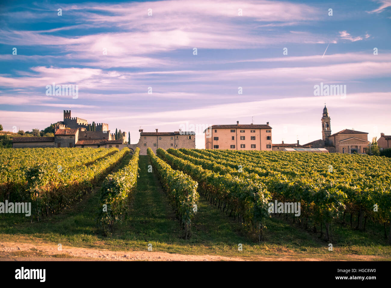 view of Soave (Italy) surrounded by vineyards that produce one of the ...