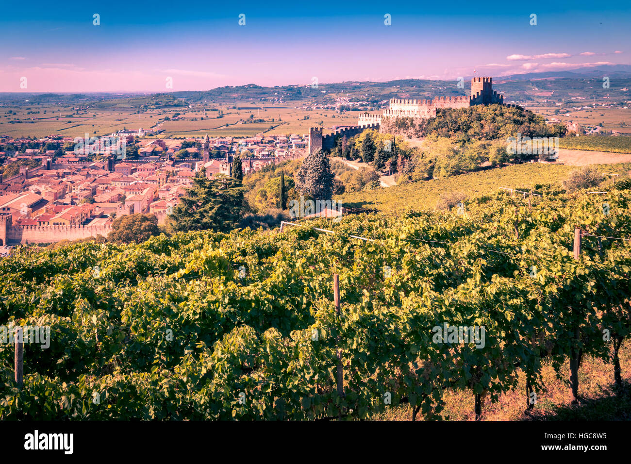 view of Soave (Italy) surrounded by vineyards that produce one of the ...