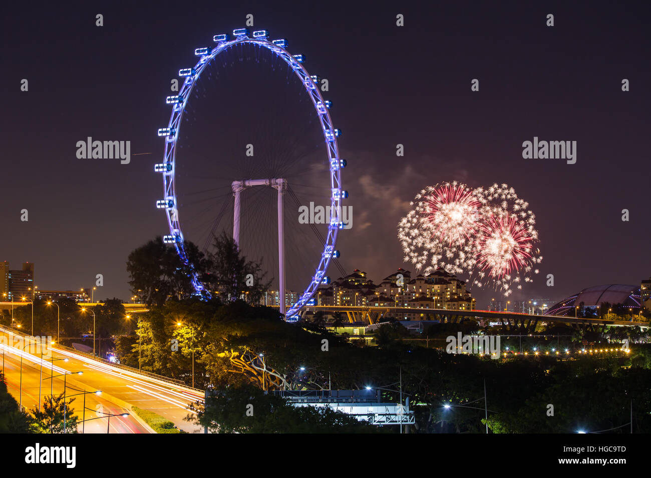 Singapore Flyer at night, the largest ferris wheel in the world Stock ...