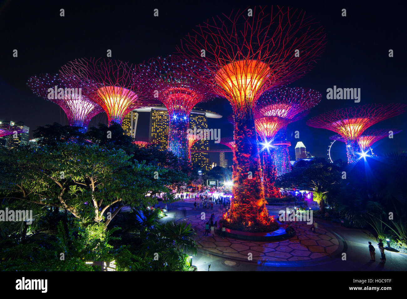 Singapore - June 25, 2016: Night view of illuminated Supertree Grove at ...
