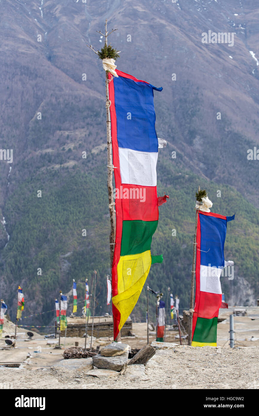 Buddhist praying flags in Nepal Stock Photo - Alamy