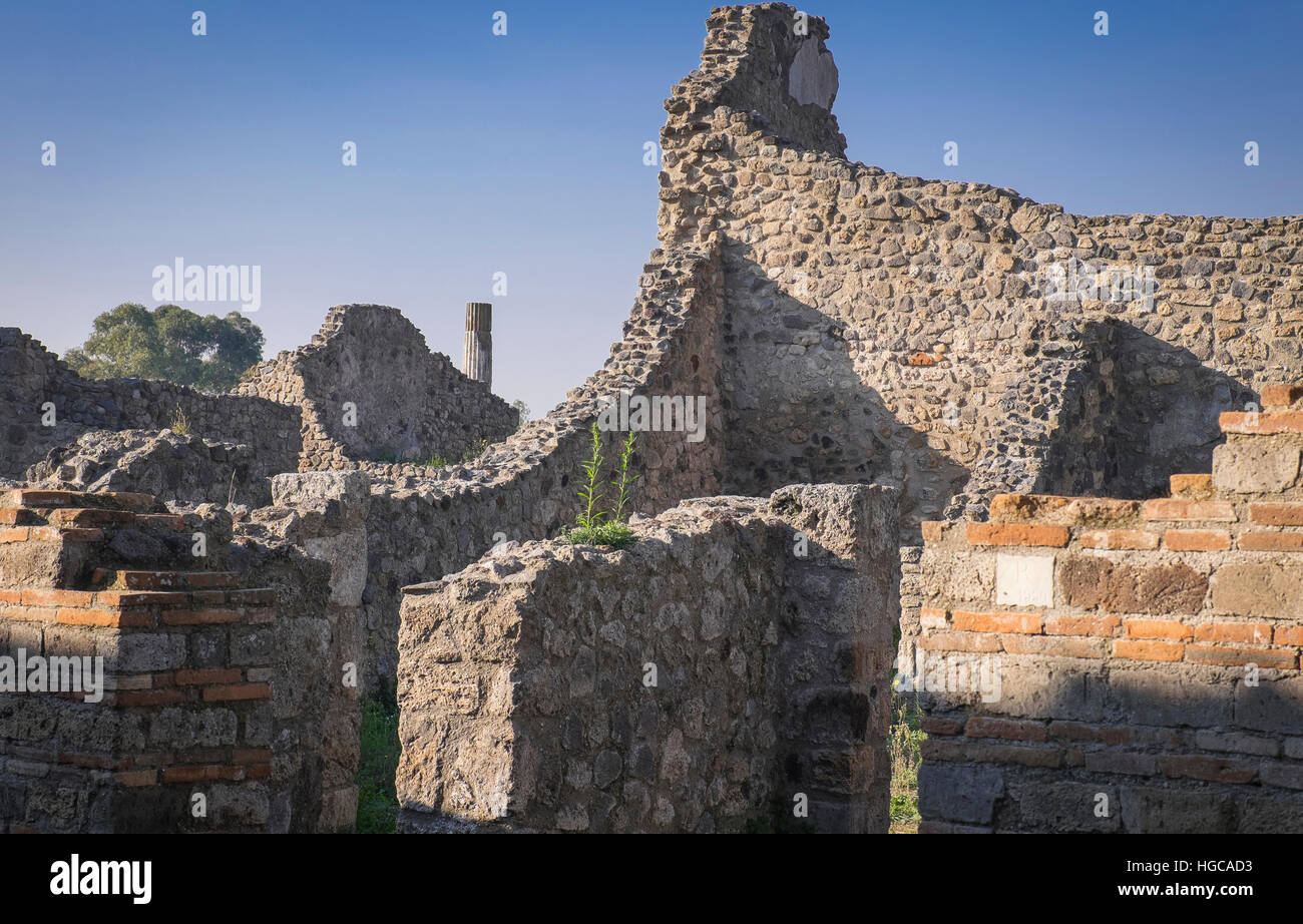 Pompeii was an ancient Roman town-city near modern Naples, in the ...