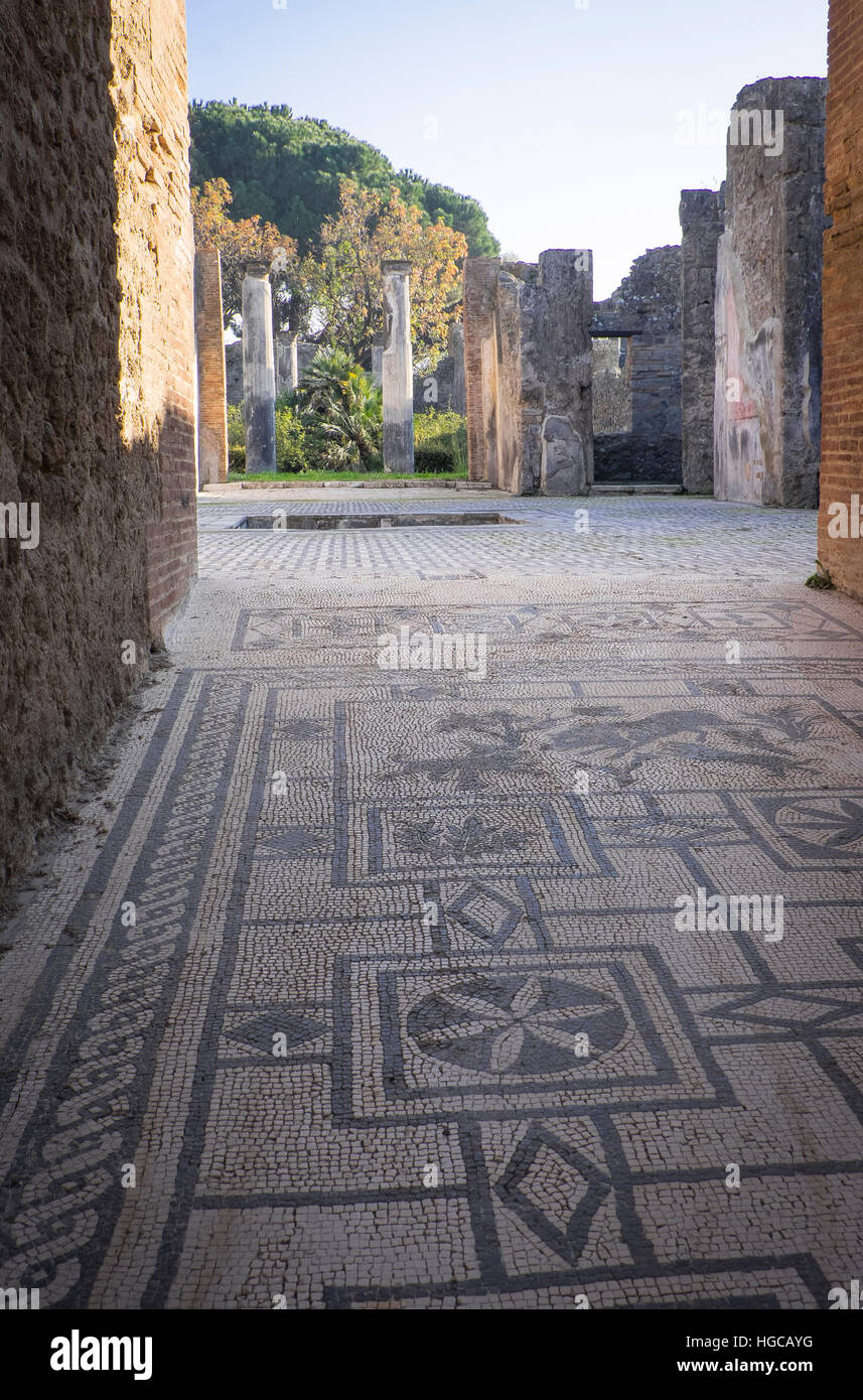 Pompeii was an ancient Roman town-city near modern Naples, in the ...