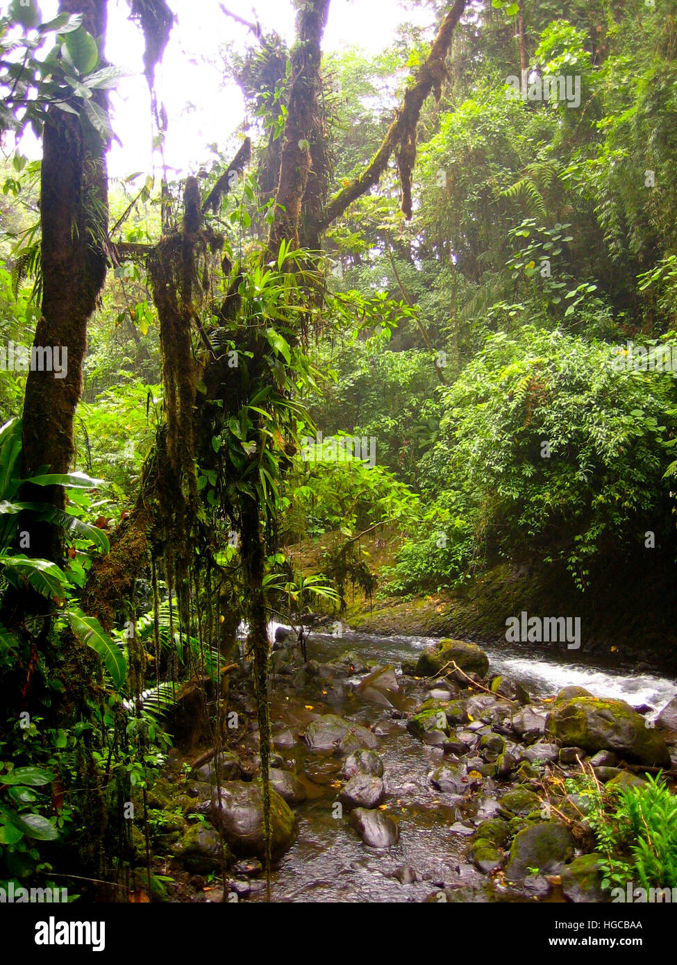Eco Adventures in Costa Rica Stock Photo - Alamy