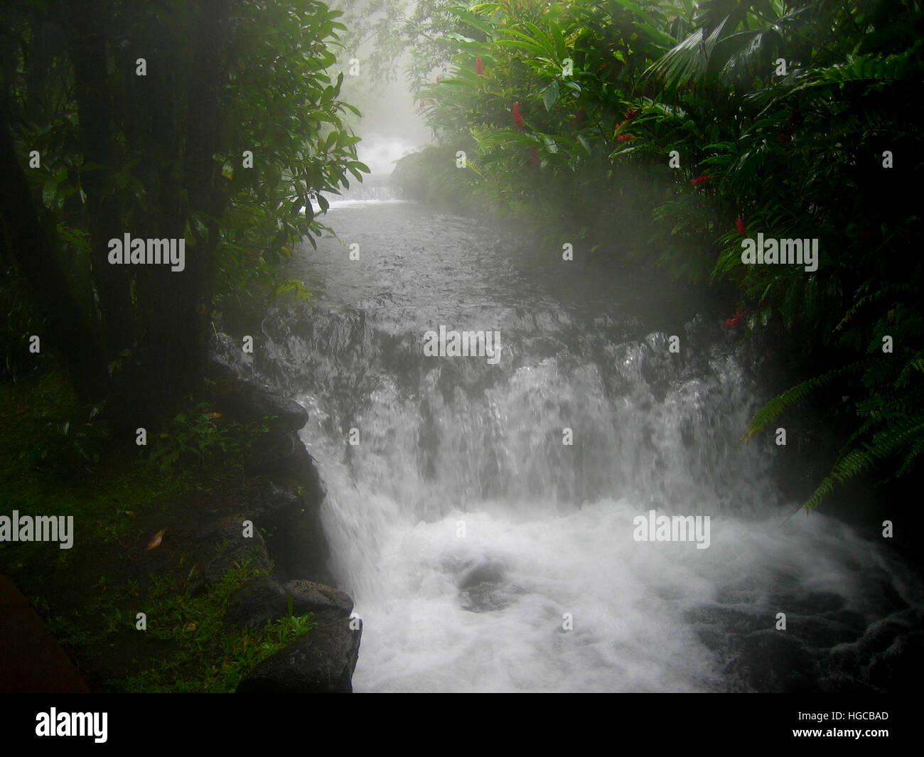 Tropical Costa Rica Stock Photo - Alamy