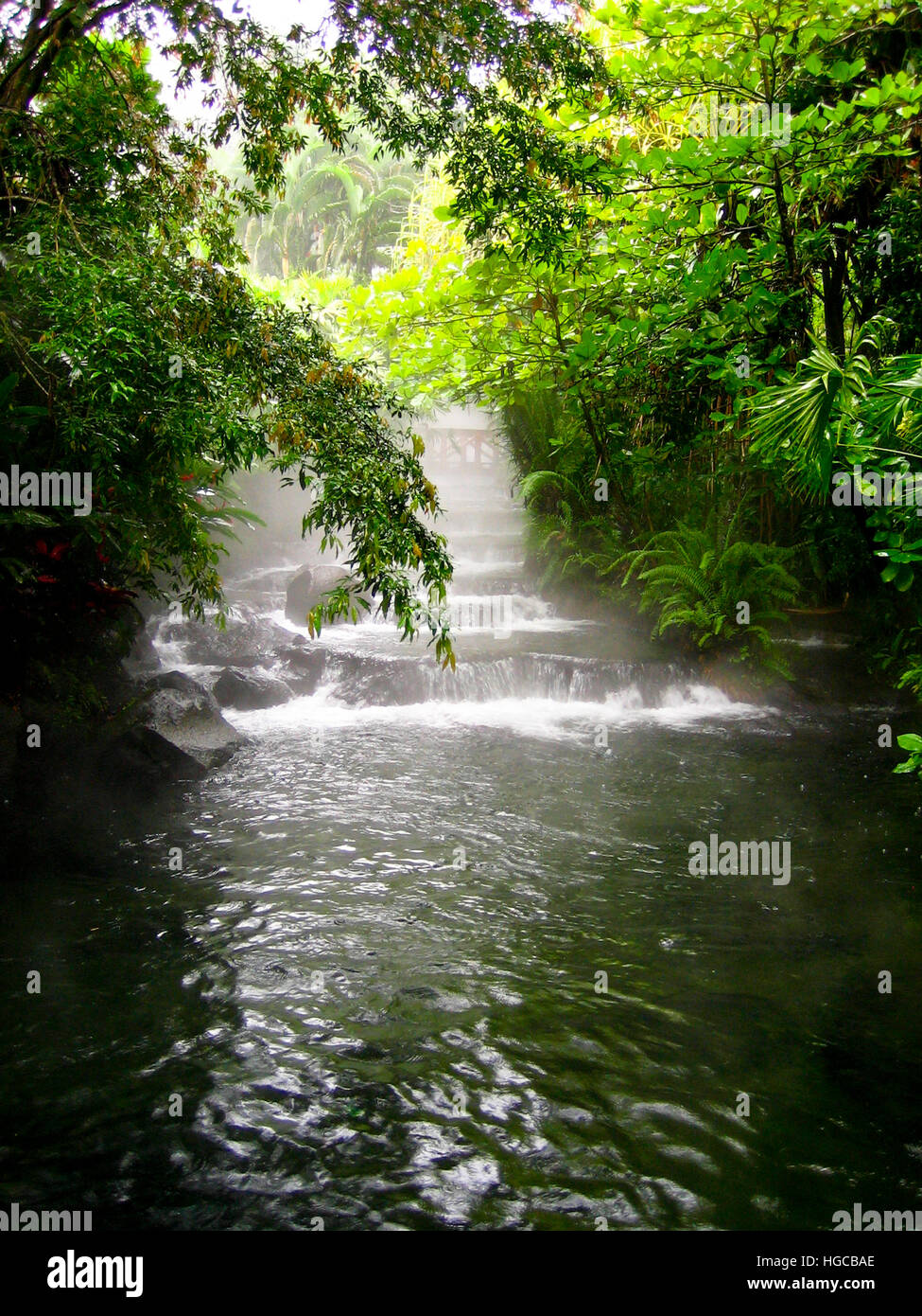 Tropical Costa Rica Stock Photo - Alamy