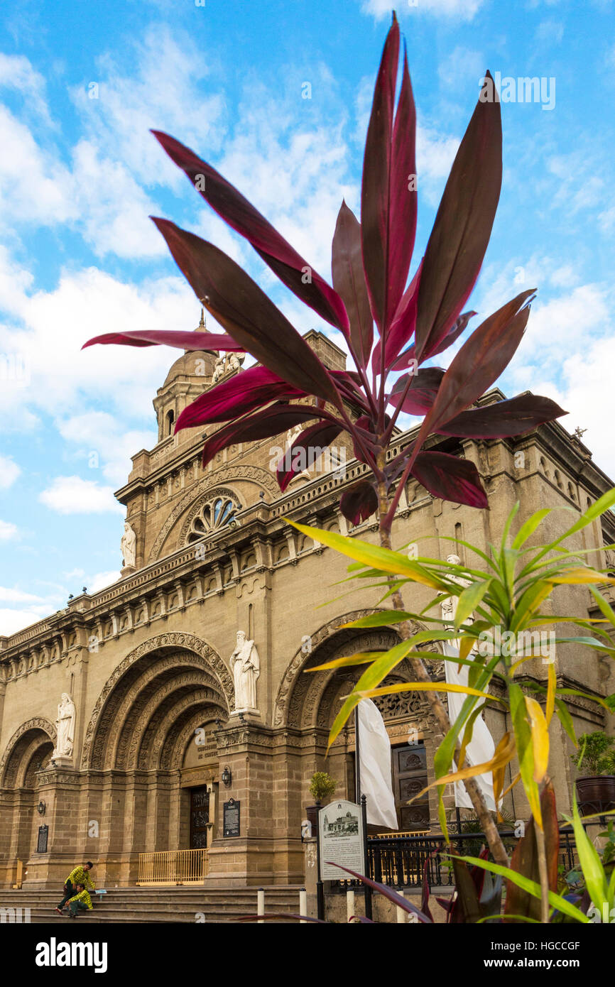 Manila cathedral, Intramuros, Philippines Stock Photo - Alamy