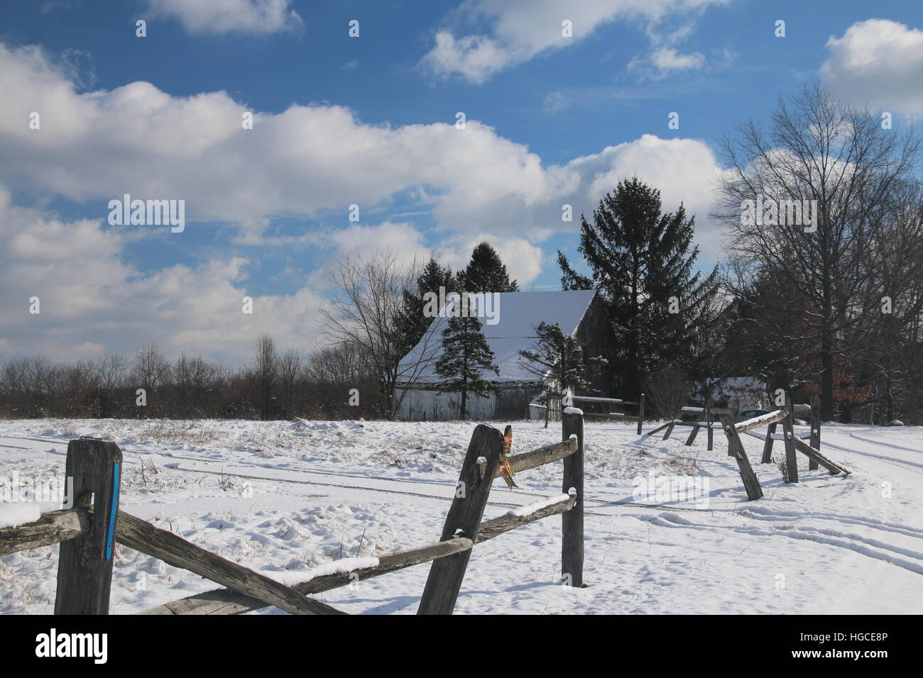 Snowy day at the farm Stock Photo - Alamy