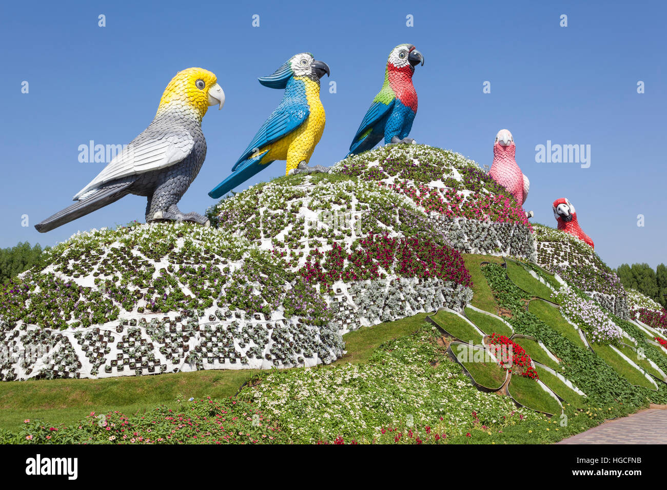 Parrots at the Miracle Garden in Dubai. United Arab Emirates, Middle ...