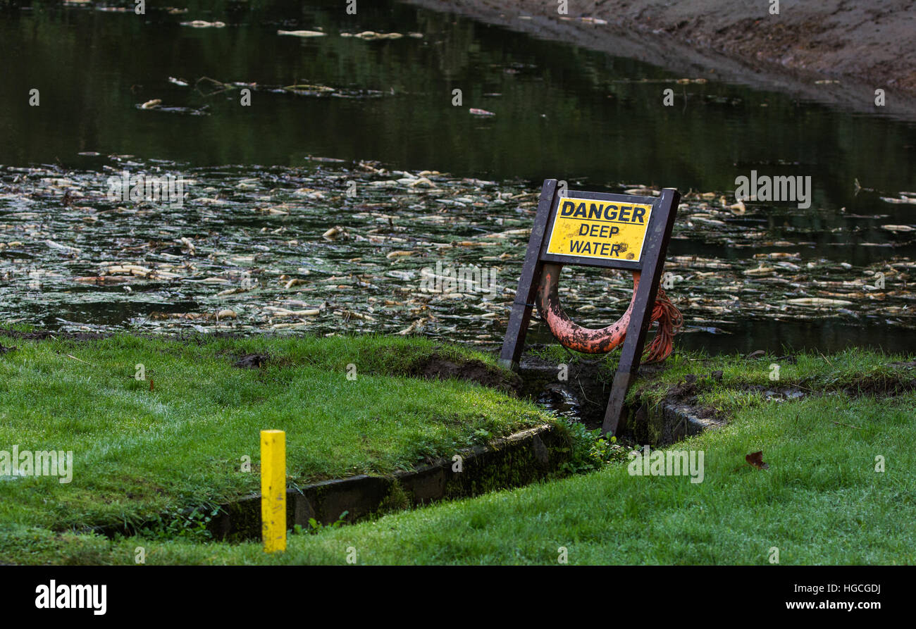 A danger sign and a life buoy have been put up next to a lake warning ...