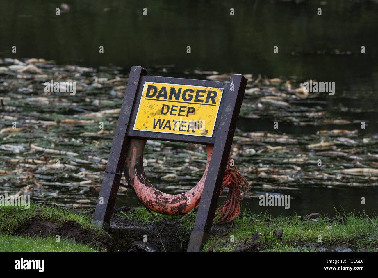 A danger sign and a life buoy have been put up next to a lake warning ...