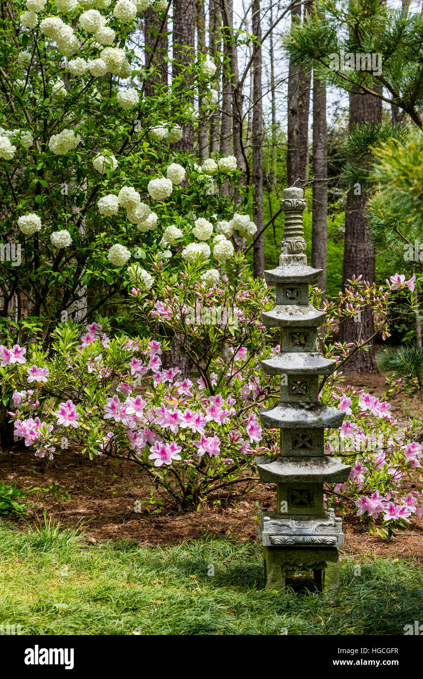 Japanese snowball bush hi-res stock photography and images - Alamy