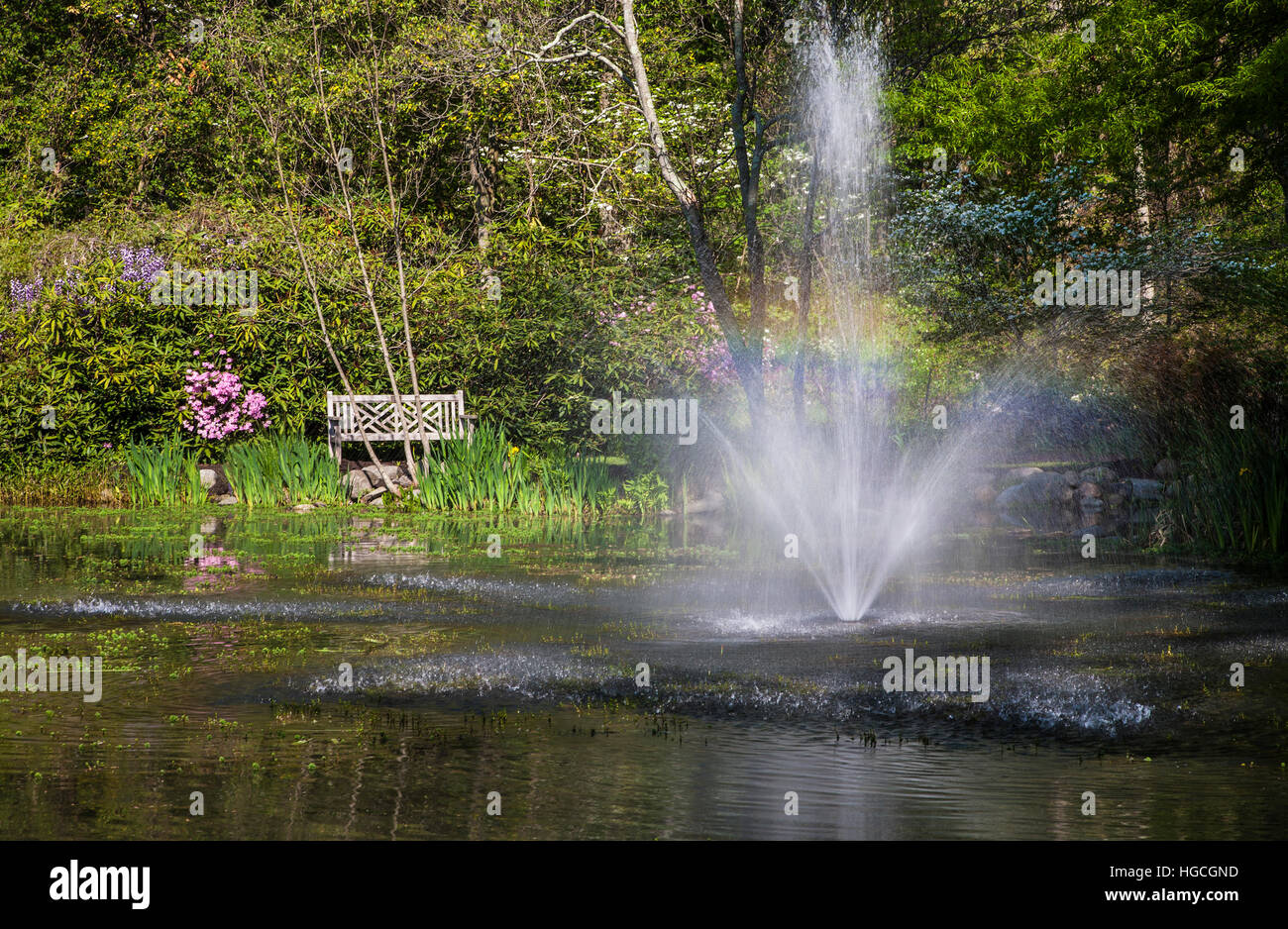 Spring pond water fountain and a wooden park bench, seat, Sayen gardens ...