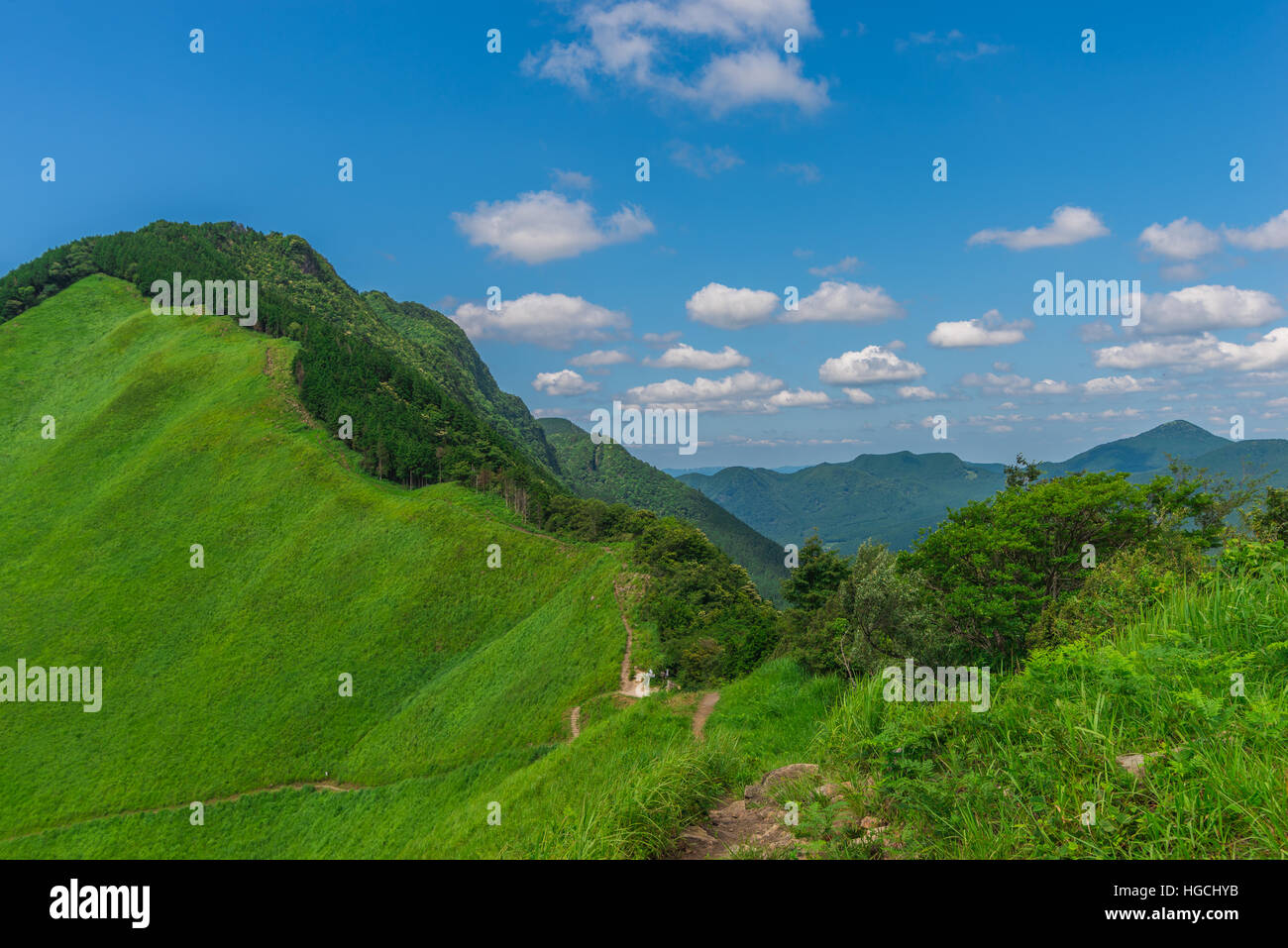 Soni plateau japanese grass soni hi-res stock photography and images ...