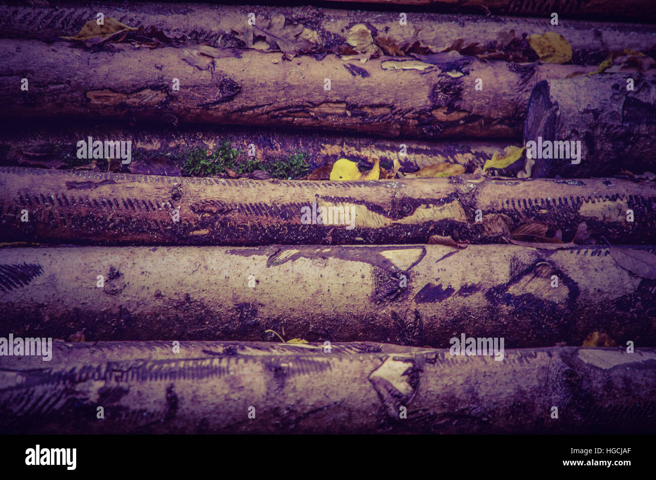 Wooden planks nature background Stock Photo - Alamy