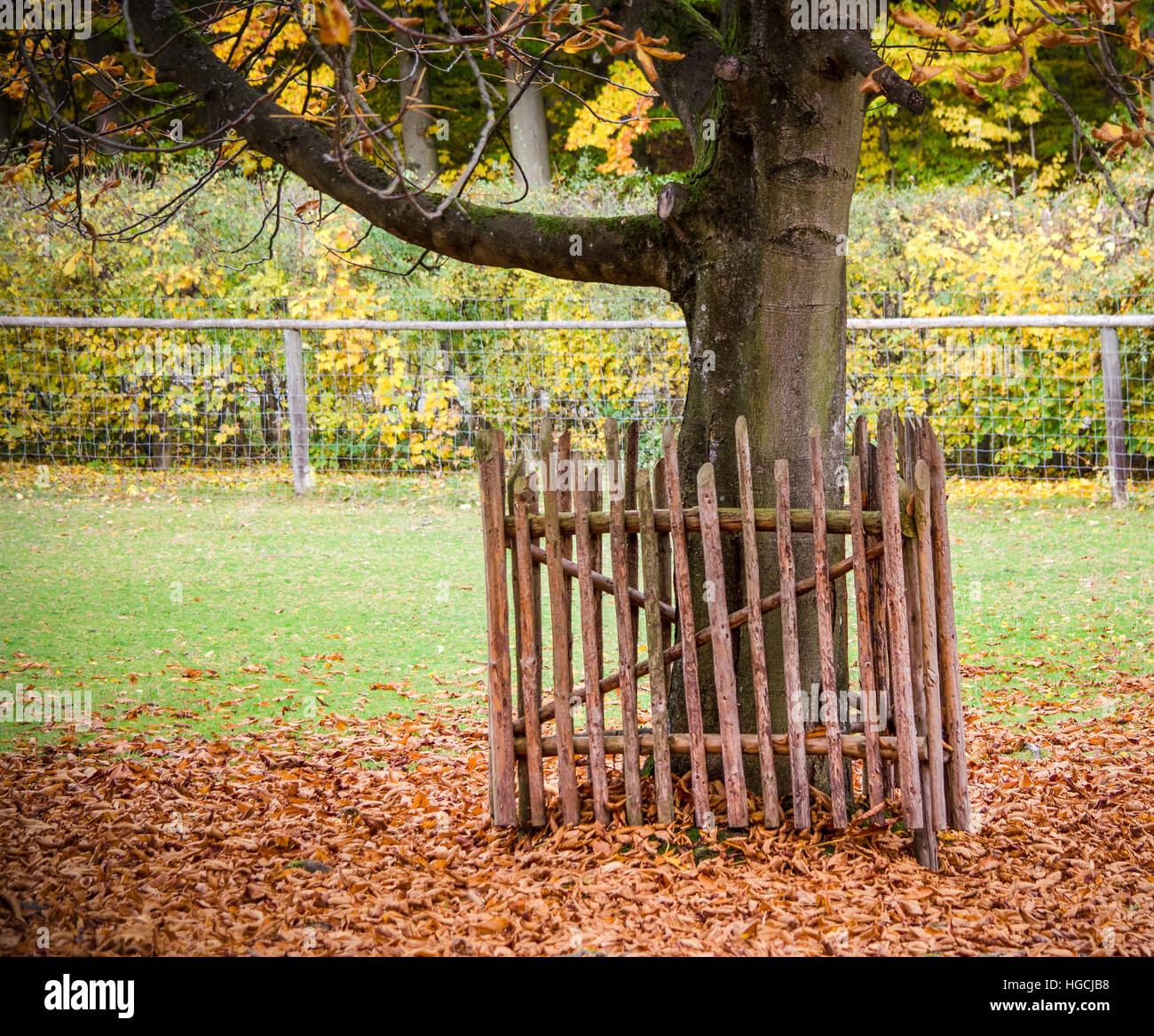 Fence and tree scene hi-res stock photography and images - Alamy