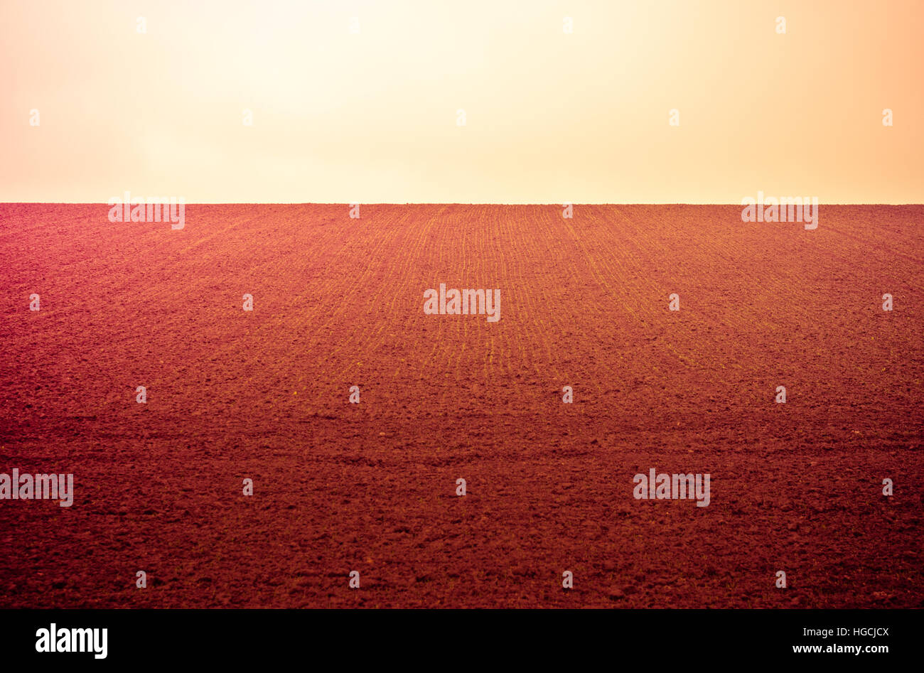Sunny field hi-res stock photography and images - Alamy
