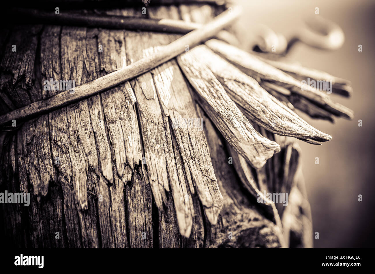 Splinter wood hi-res stock photography and images - Alamy