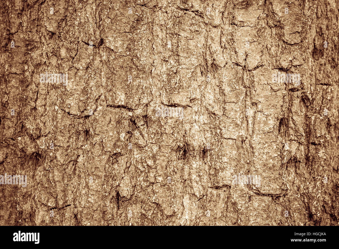 Golden wood pattern Stock Photo - Alamy