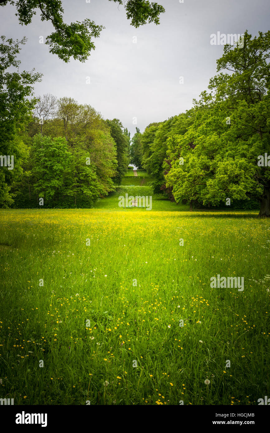 Green meadow landscape with forest hi-res stock photography and images ...