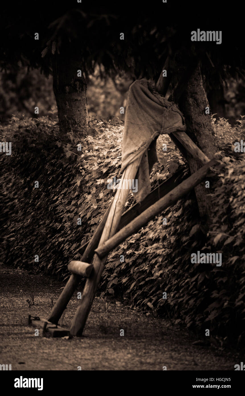 Abstract object in nature Stock Photo - Alamy