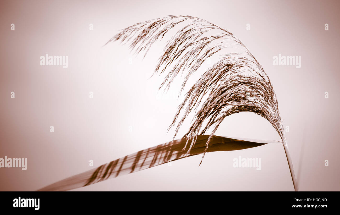 Beautiful nature outdoors hi-res stock photography and images - Alamy