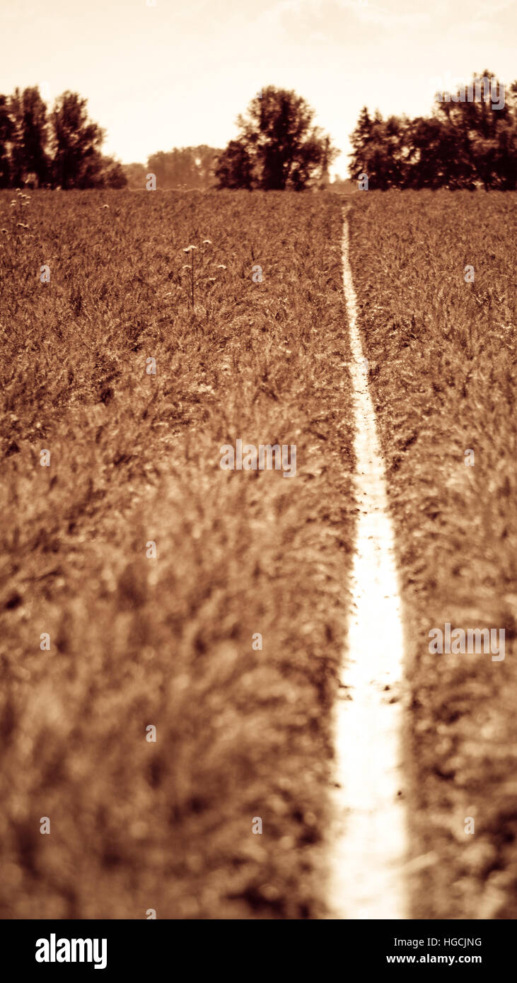 Agriculture path hi-res stock photography and images - Alamy