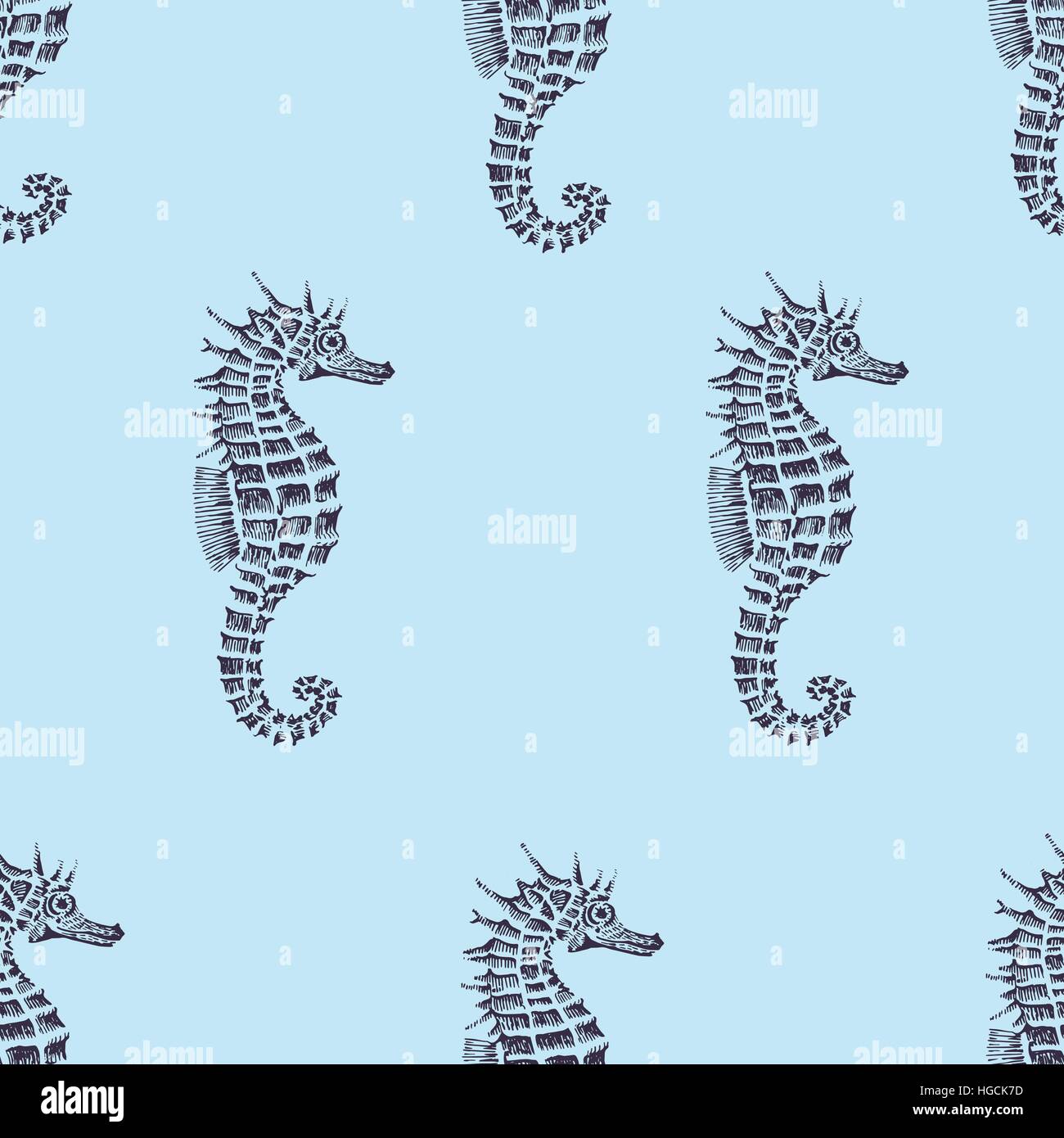 Seahorse drawing hi-res stock photography and images - Alamy
