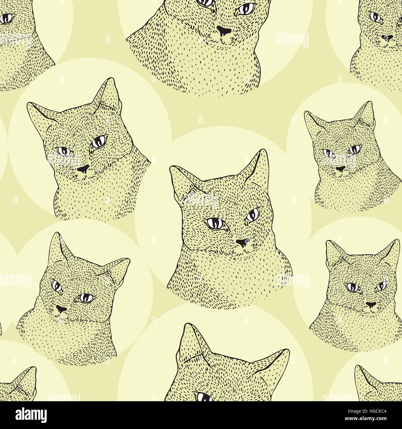 Sphynx cat funny Stock Vector Images - Alamy