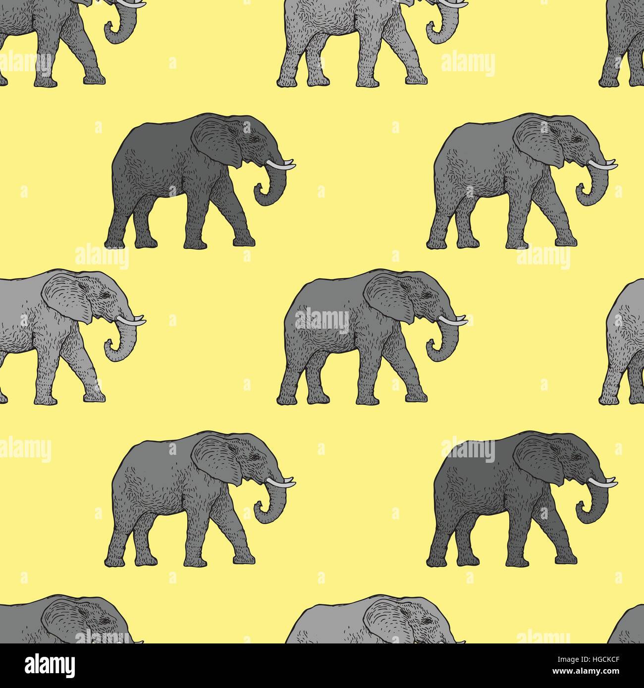 Elephants pattern hi-res stock photography and images - Alamy