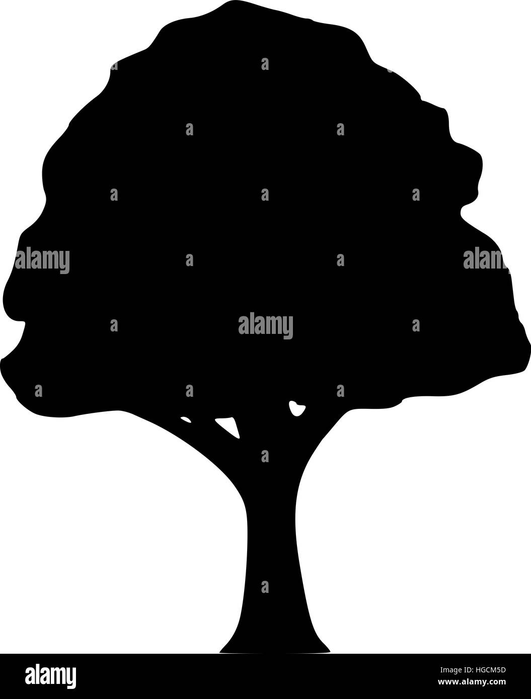 Silhouette of a deciduous tree Stock Vector Image & Art - Alamy