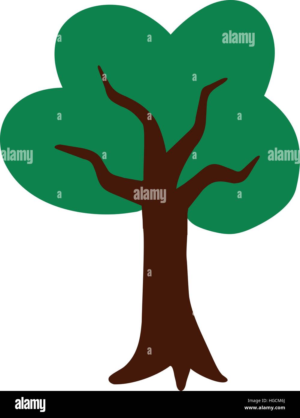 Broadleaf tree vector vectors hi-res stock photography and images - Alamy