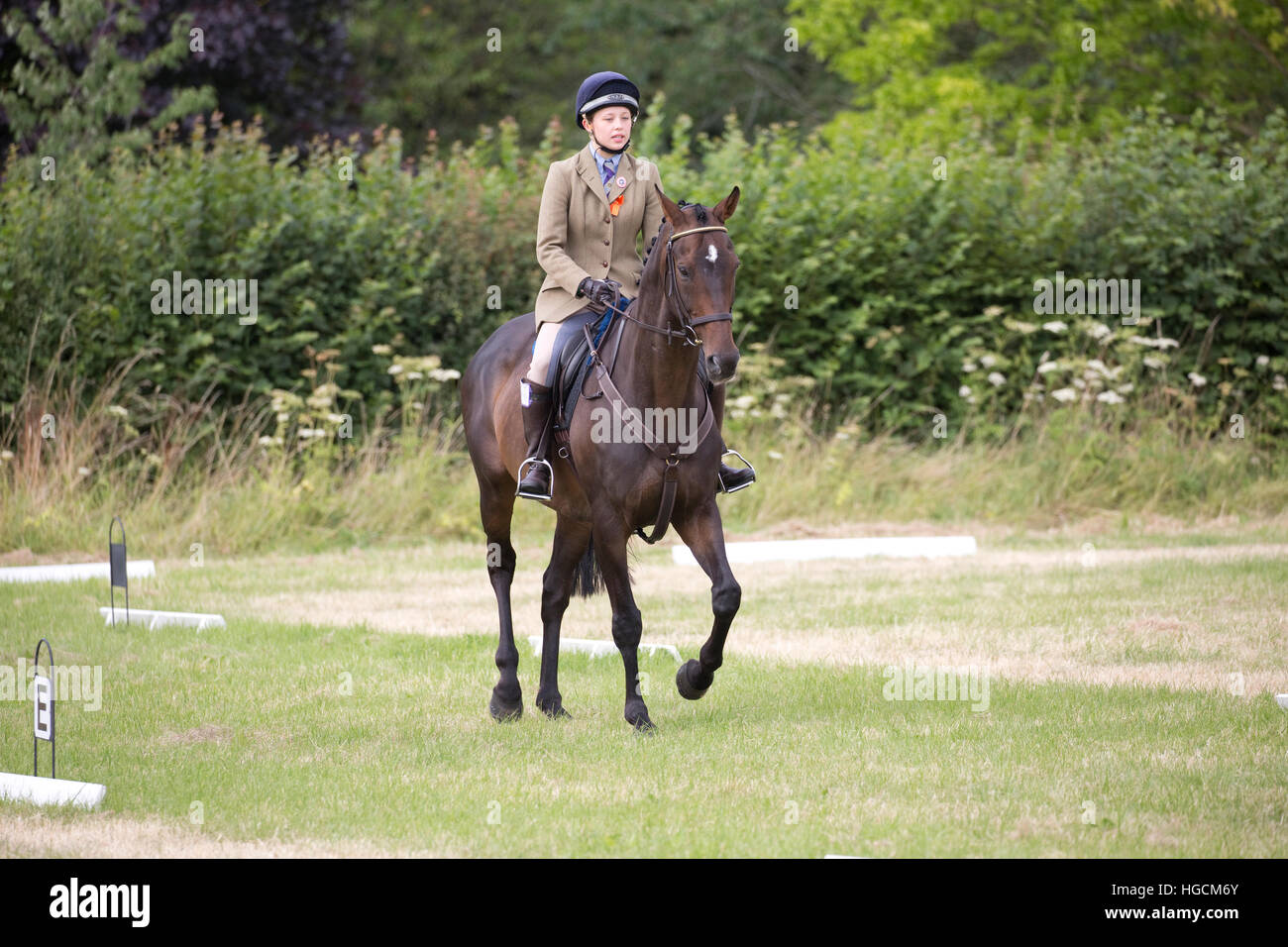 Teenage girl horse rider dressage competition Cotswold Pony Club event ...