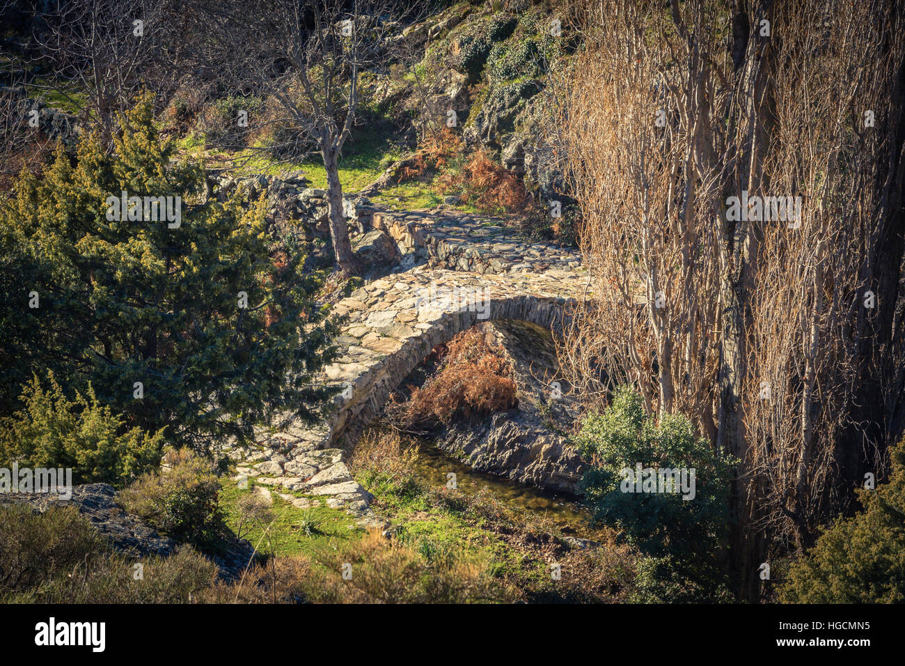 An ancient stone Genoese bridge crossing a stream in the mountains of ...