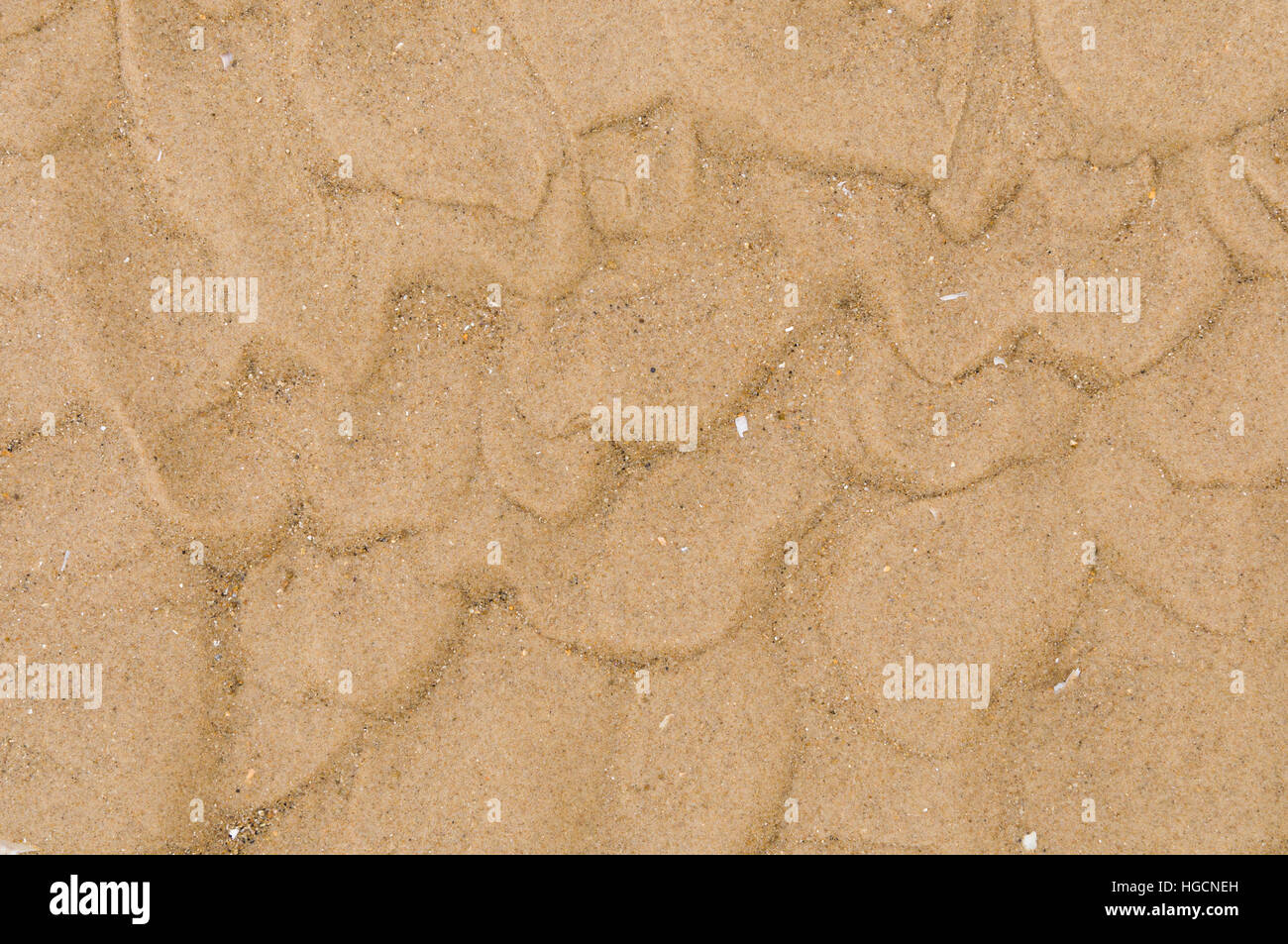Sand on a beach Stock Photo - Alamy