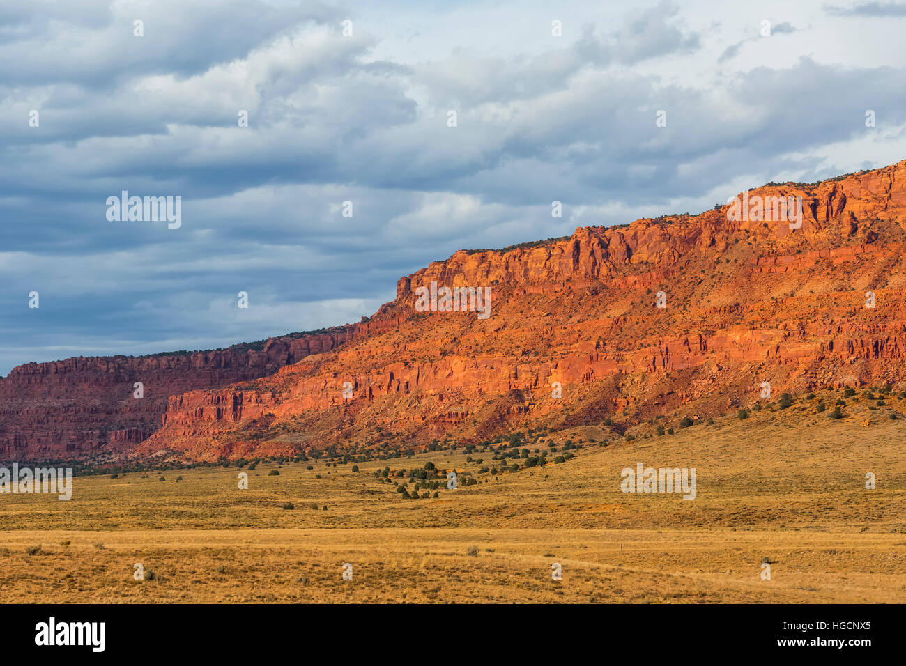 Brilliant Vermilion Cliffs in warm sunset light along House Rock Road ...
