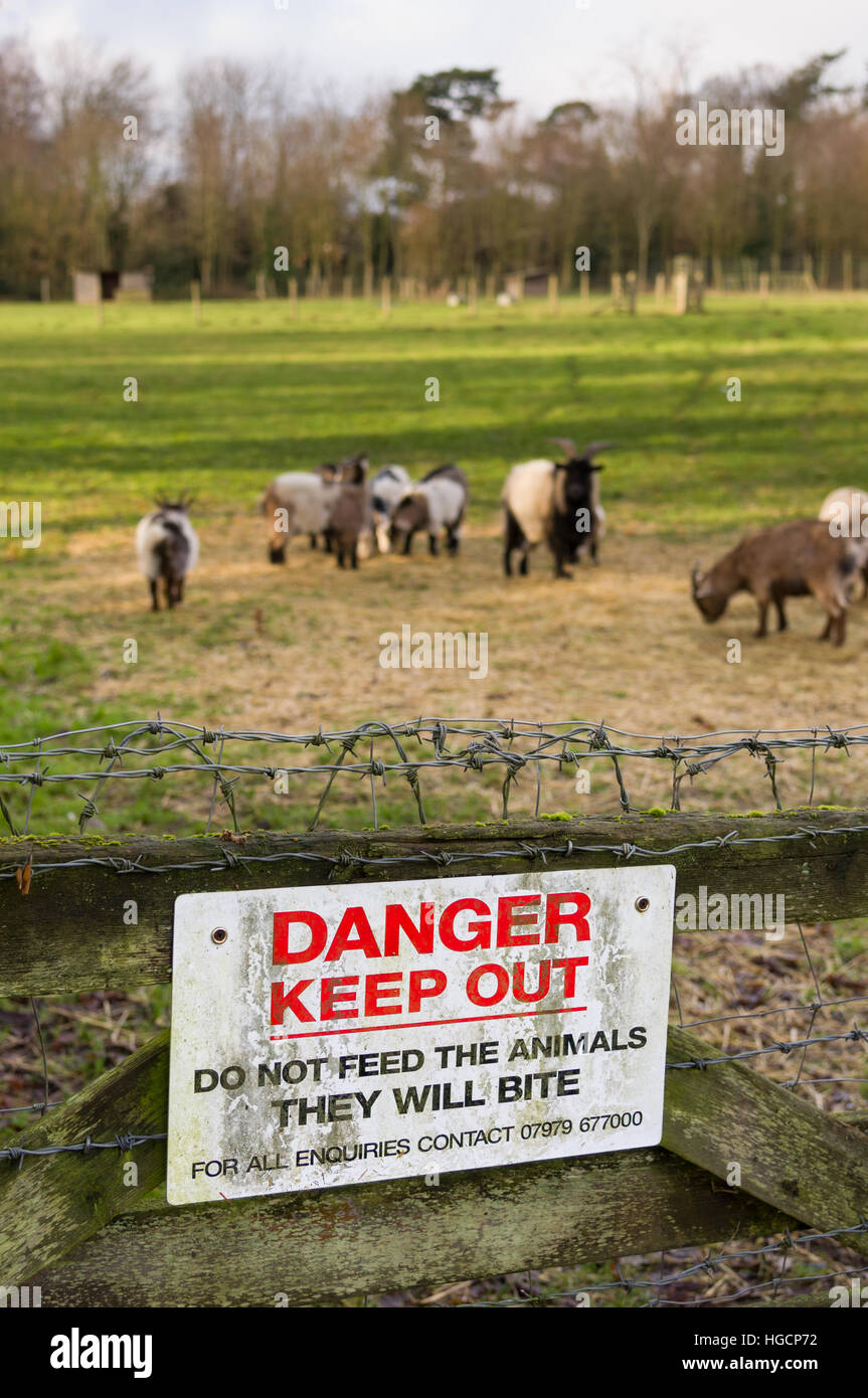 Animals bite sign hi-res stock photography and images - Alamy