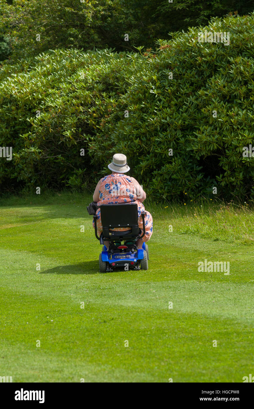 Fat woman on invalid cart Stock Photo - Alamy