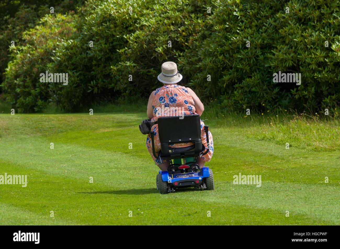 Invalid Buggy High Resolution Stock Photography and Images - Alamy